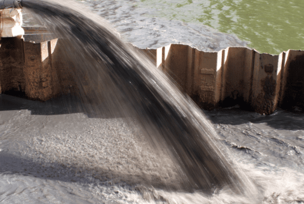 What Is Pond Scum & Where Does It Come From? | PondMedics