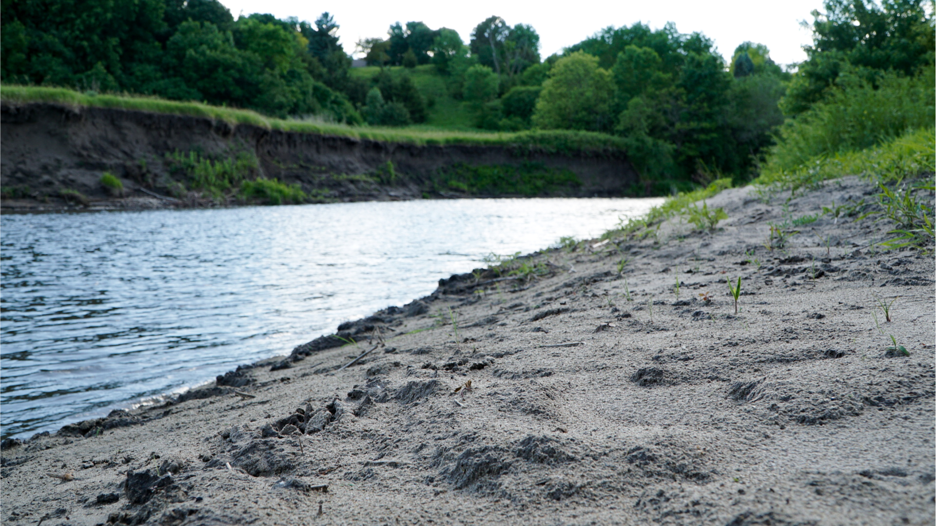 Pond Bank Stabilization: How to Protect Your Pond’s Shoreline from Erosion