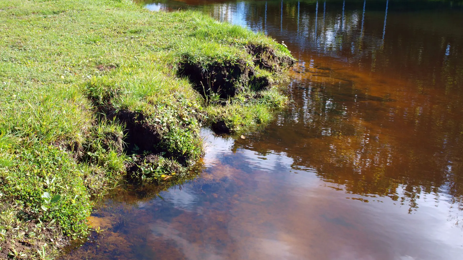 Expert Insights on Pond Bank Stabilization and Erosion Control