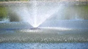 Fountain Ponds and the Benefits of Installation - PondMedics