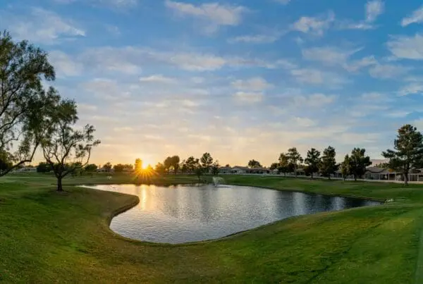 Pond Bank Stabilization: How to Protect Your Pond’s Shoreline from Erosion