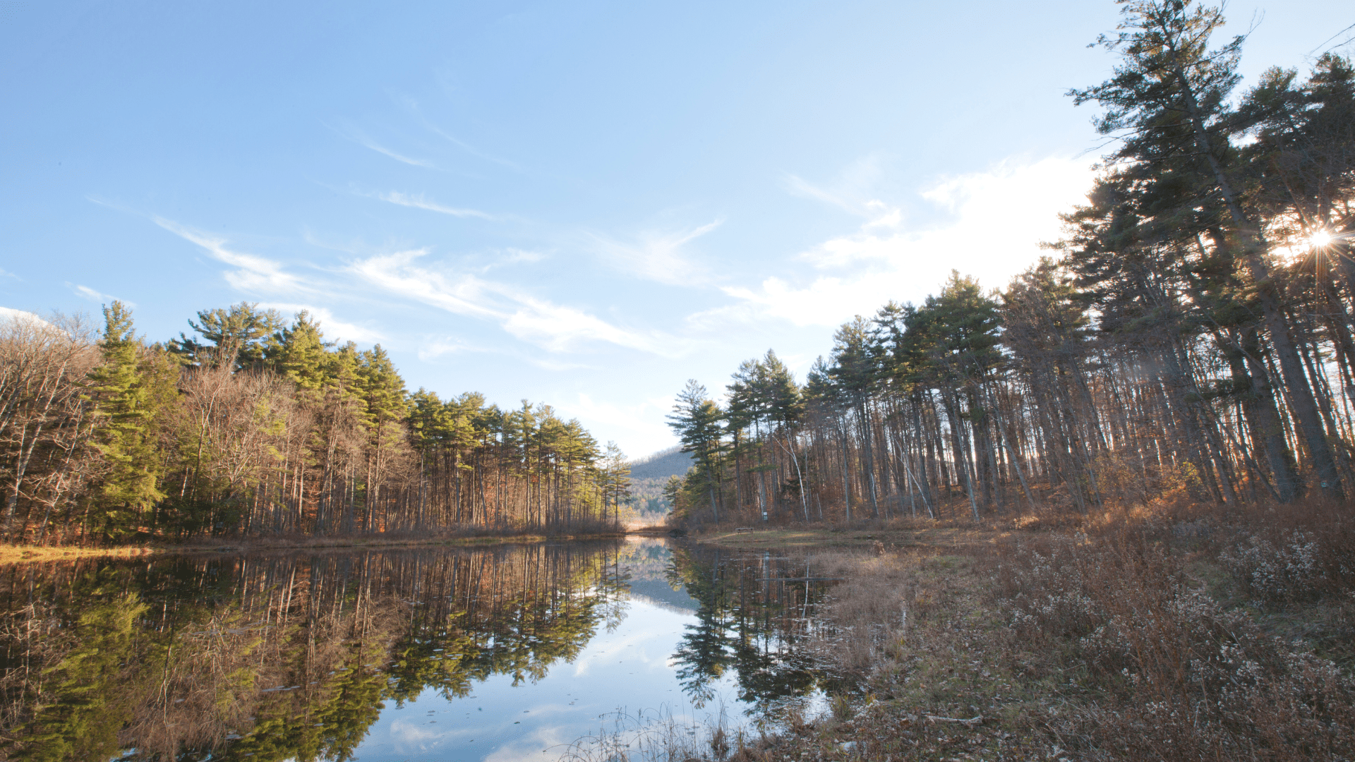 1 Acre Pond Size: Design and Maintenance Considerations