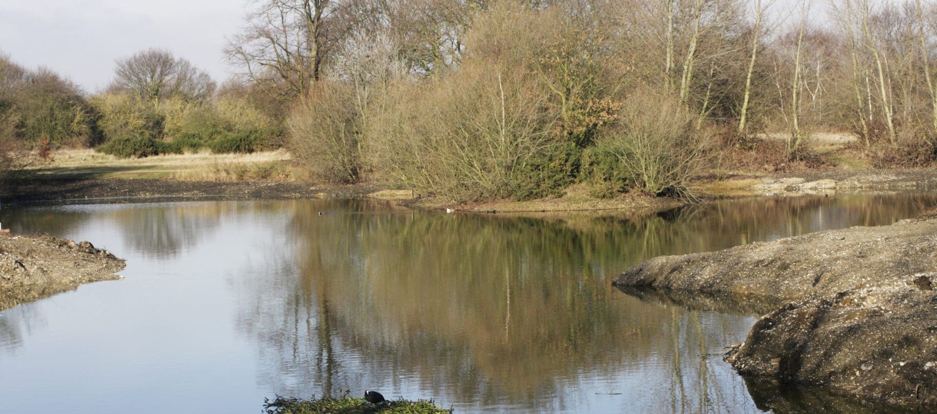 Pond Dredging Equipment: Tools for Transforming Murkiness into Clarity ...