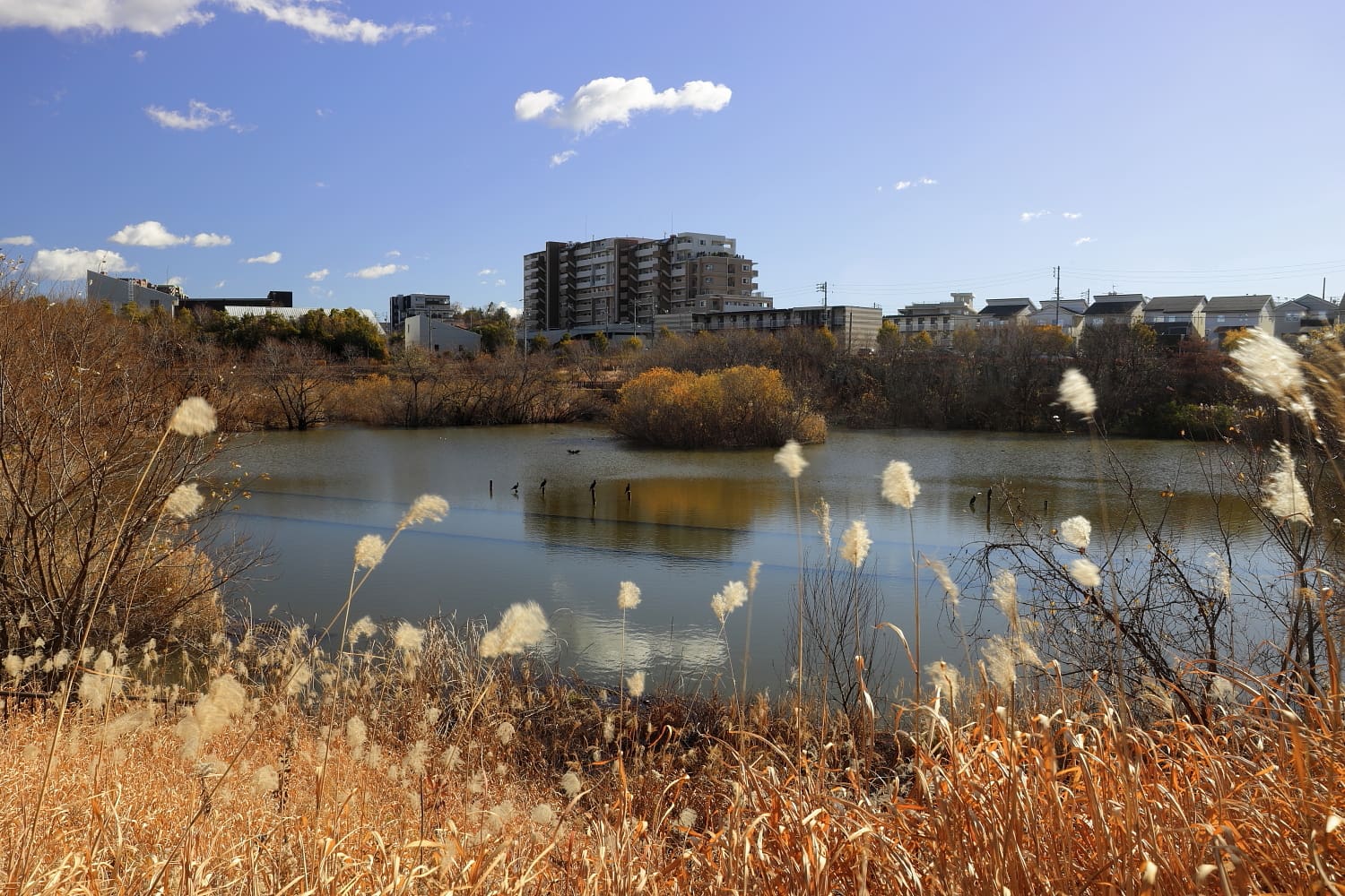 Retention Pond Design Mistakes That Lead to Costly Repairs