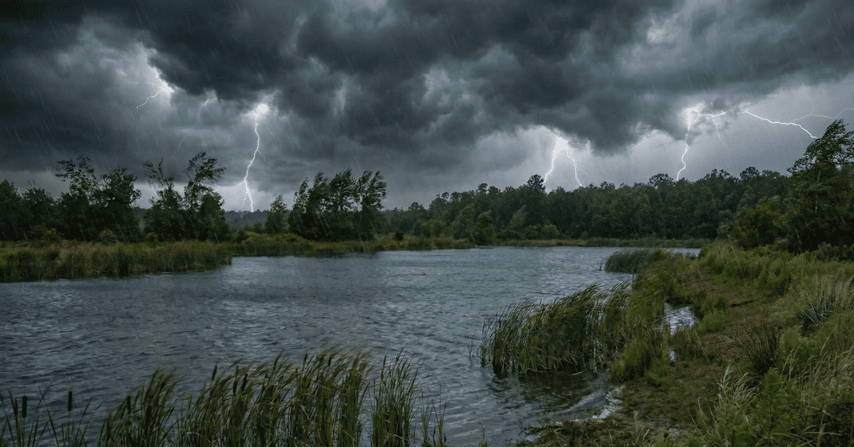 Understanding Pond Silt: Causes, Impacts, and Effective Removal ...