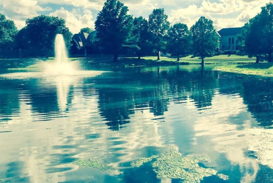 Fountain Ponds and the Benefits of Installation - PondMedics